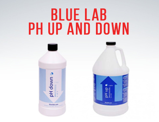 PH and Hydroponics - News