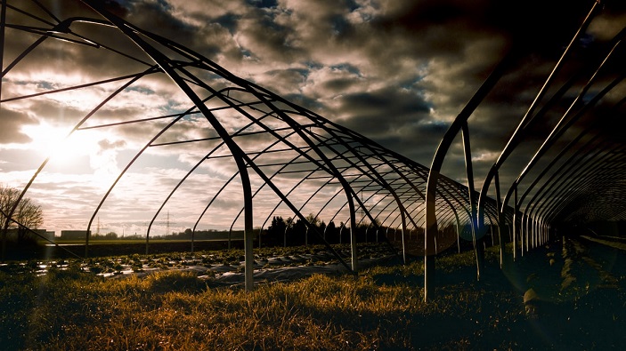 Commercial Greenhouse Design - News